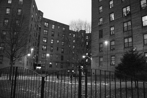 queens_nas_projects | Can It Be All So Simple